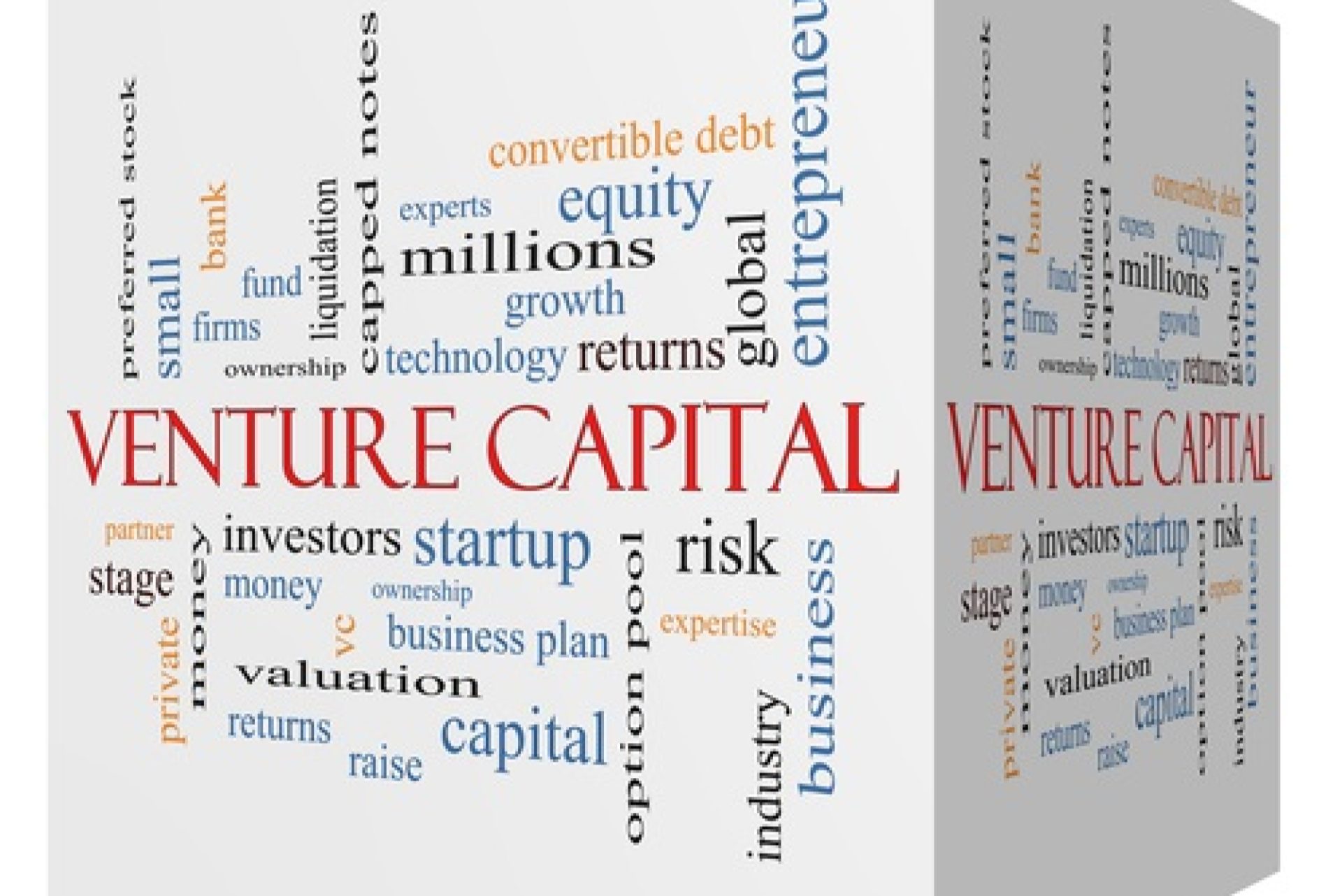 Risks and Rewards: Investing in Venture Capital - Williams Asset Management