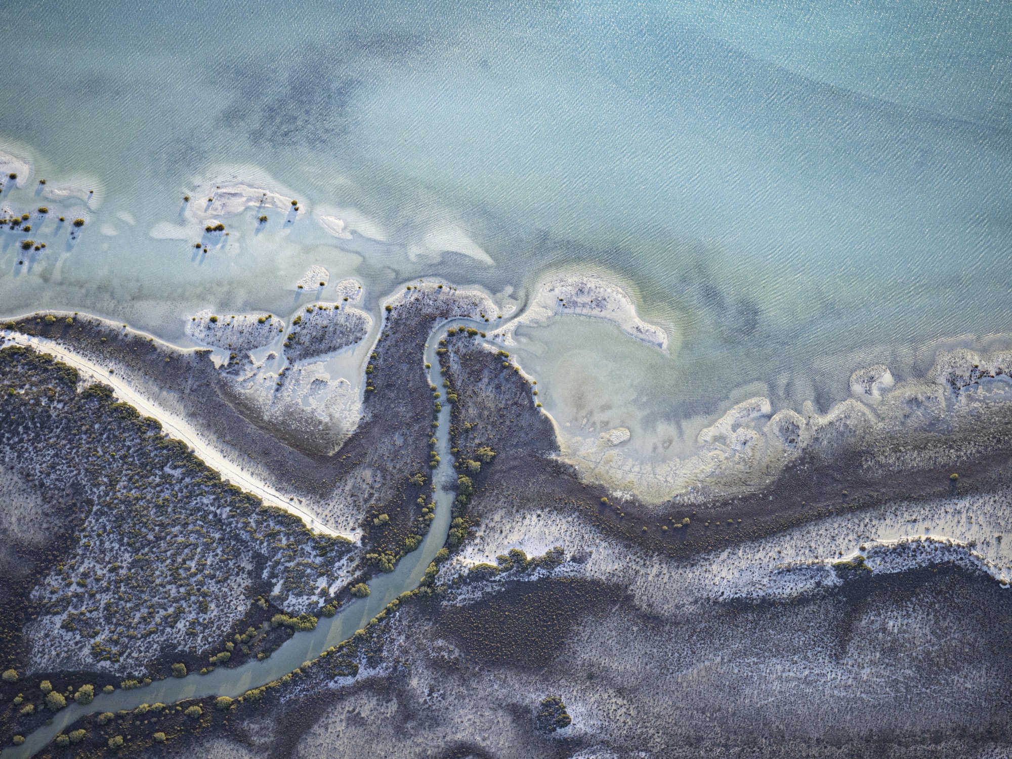 Commonwealth’s Standards - Williams Asset Management